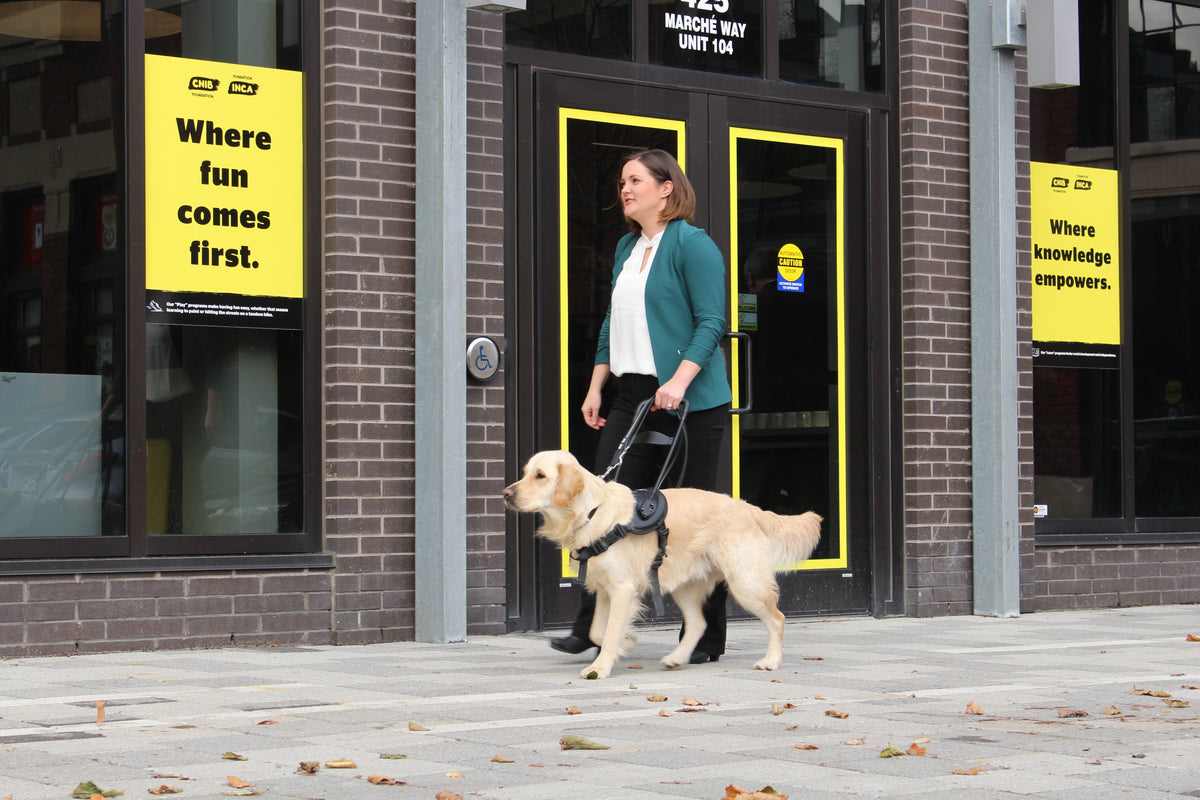 Guide Dogs – CNIB Brighter Gifts